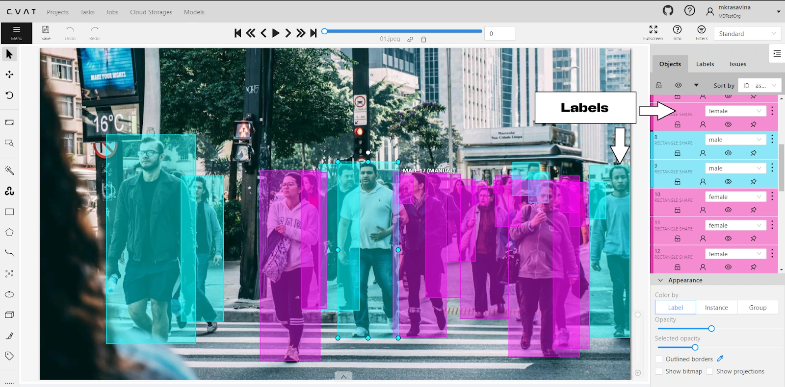 Top 5 Video Annotation Tools in 2025 and Their Key Features